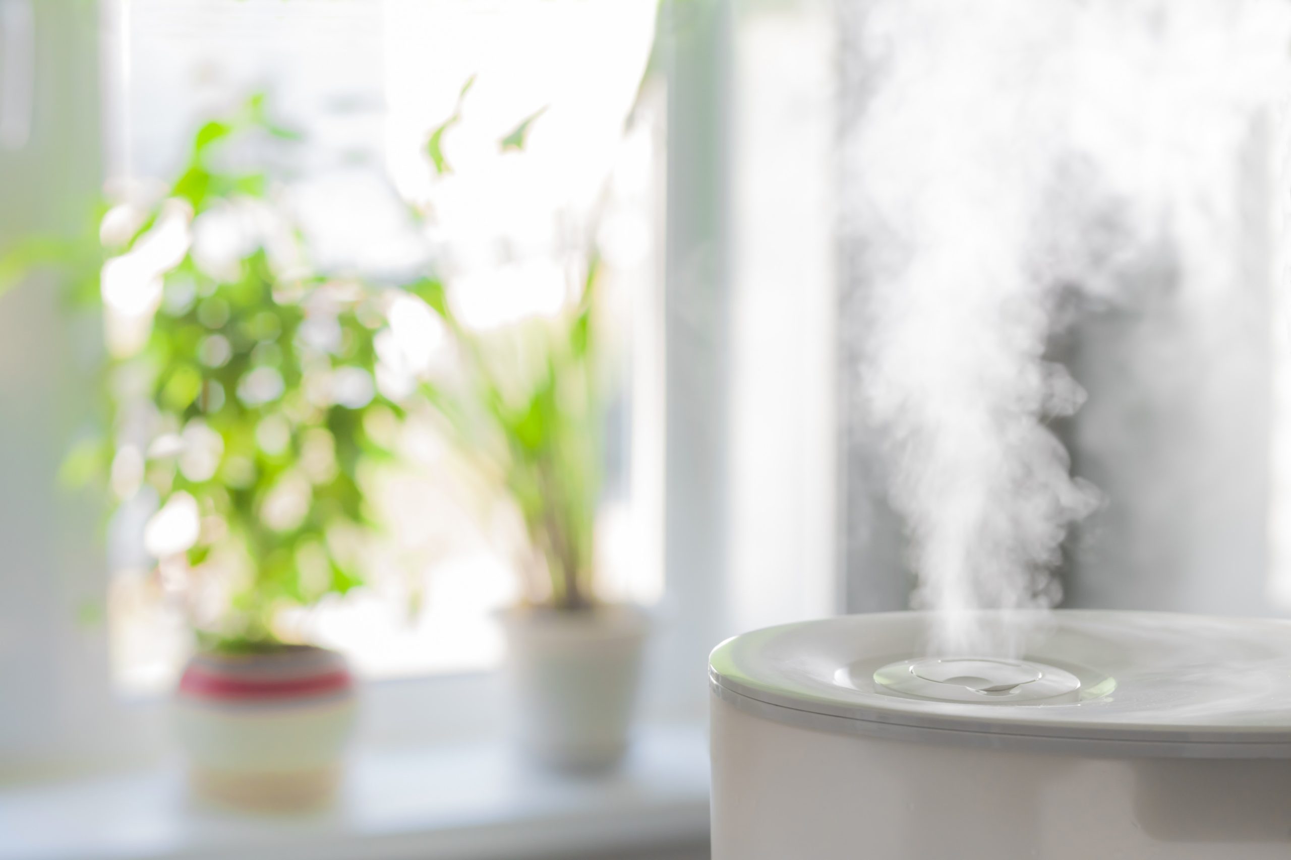 Humidifiers Unveiled - Your Ultimate Guide to Answering All Your ...
